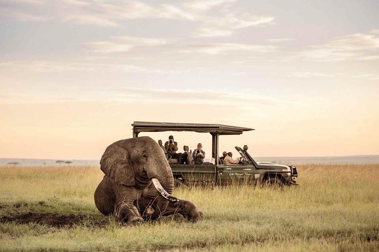 Extraordinära safariupplevelser med Globetrotter