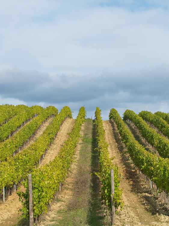 6 pärlor i Toscana - Tips och sevärdheter från Vings reseexpert