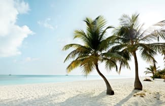 Solresor till hela världen - boka din solsemester idag | Ving