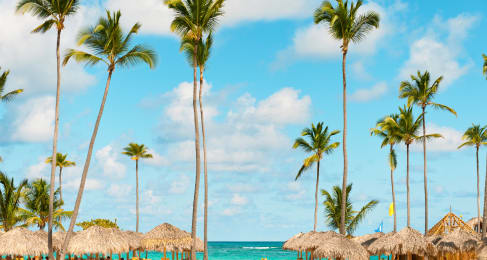 Solresor till hela världen - boka din solsemester idag | Ving