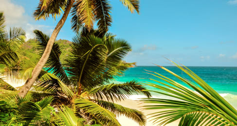 Solresor till hela världen - boka din solsemester idag | Ving