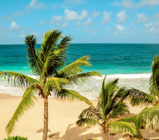 Resor i mars - Boka din solresa i mars här | Ving