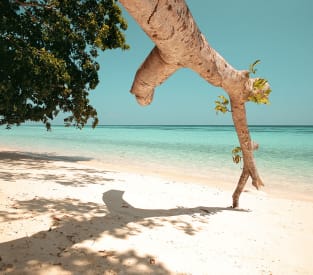 Resor i juni - Boka din solresa i juni här | Ving