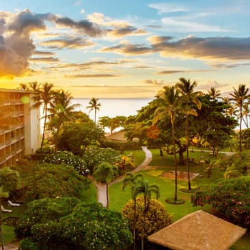 Våra bästa hotell i Hawaii - Ving