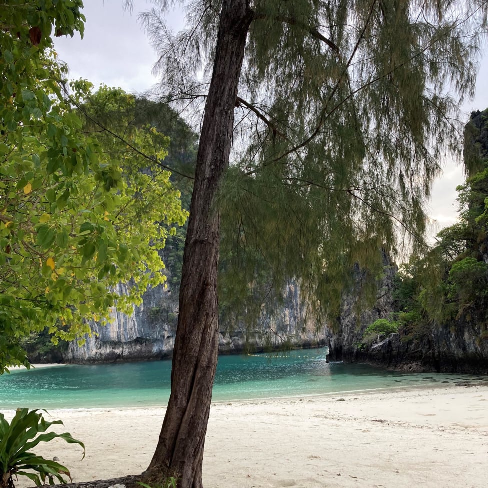 Idyl på Kamala Beach i Thailand | Spies