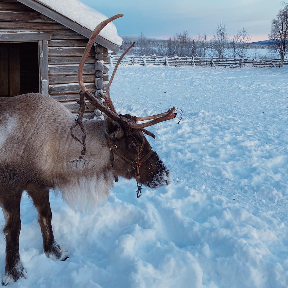 Drömresan till Icehotel | Vings reseexperter