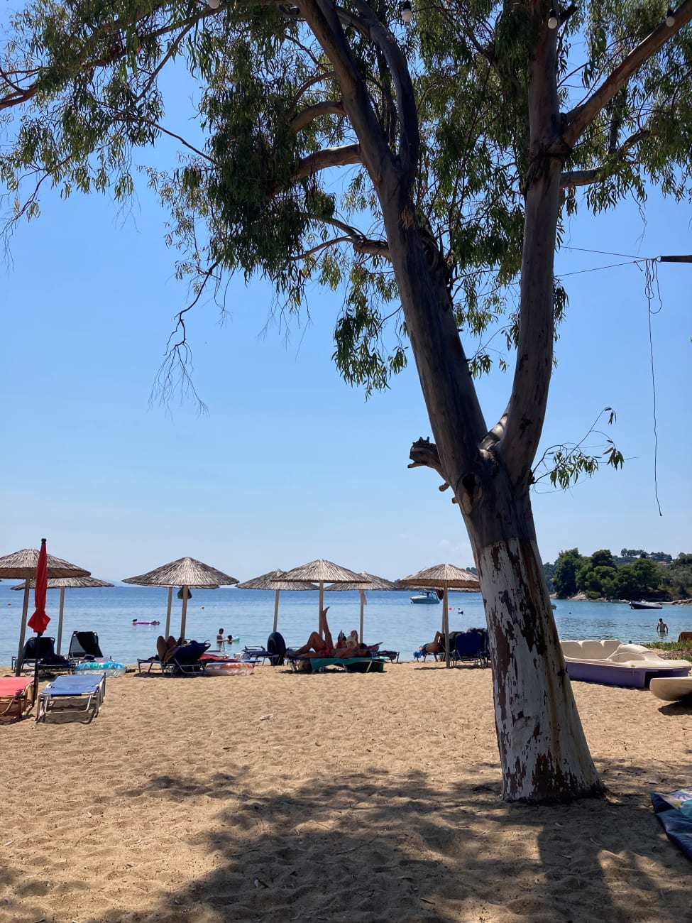 Skiathos – en grekisk pärla | Vings reseexperter